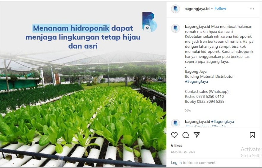 7 Langkah Membuat Tanaman Hidroponik dari Pipa Paralon - Bagong Jaya